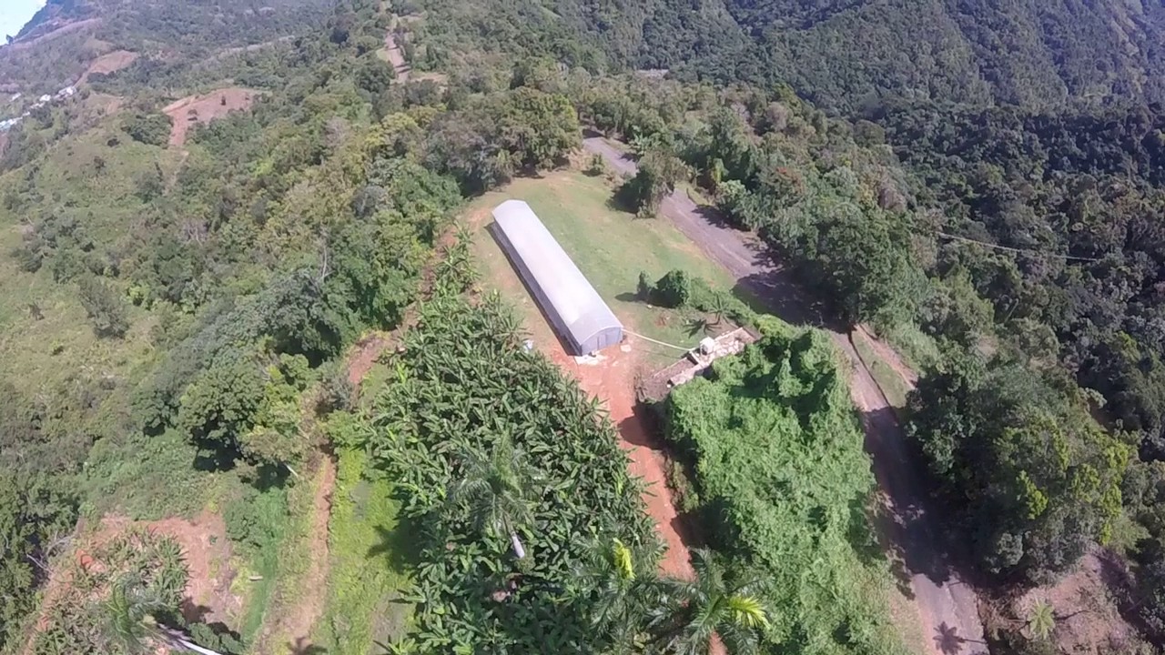 The Beast Zip Line in Puerto Rico ( La Bestia en Toro Verde) - YouTube