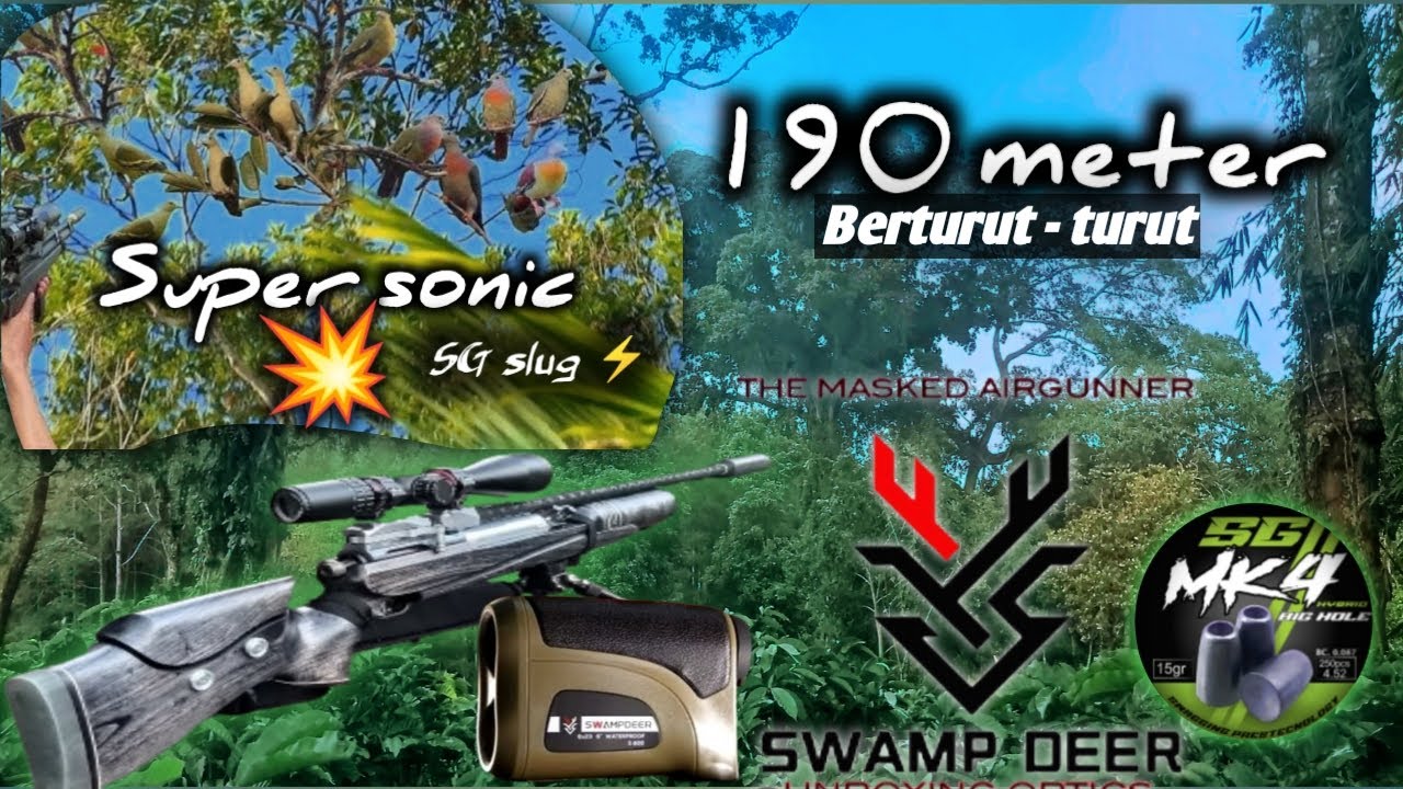 SUPER SONIC ⚡190meter sangat telak | Punai di musim beringin berbuah # ...