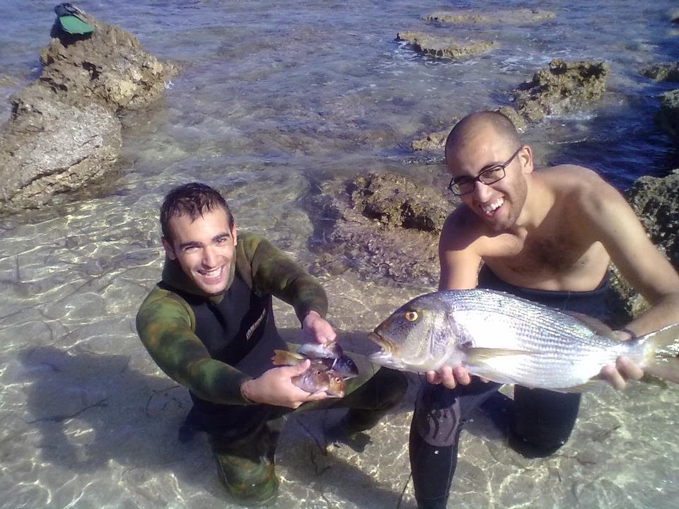 SARAGHI CEFALO E DENTICE (pescasub/spearfishing Sardegna) - YouTube