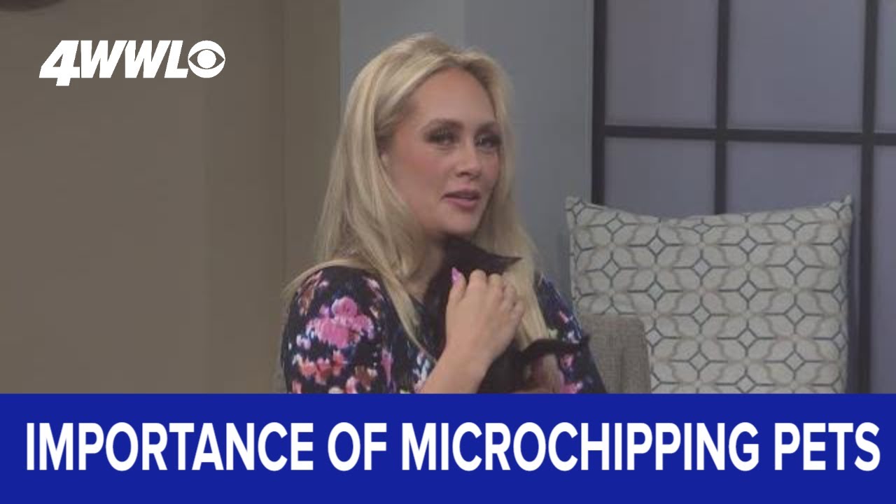 Why it's important to microchip your pet? - YouTube