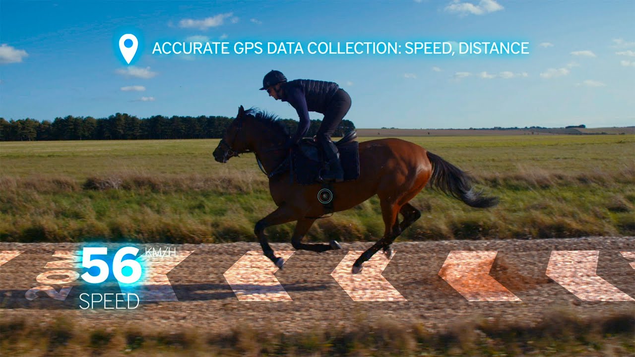 EQUIMETRE - The number one racehorse training monitor 🏇 - YouTube