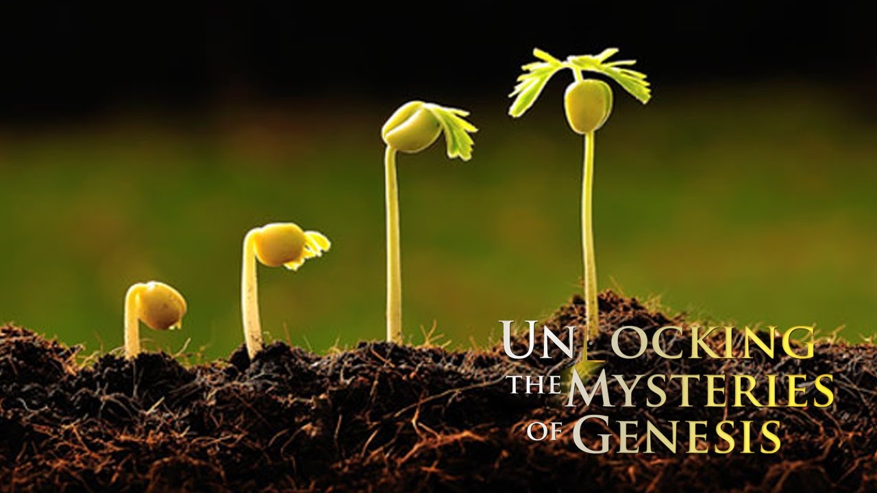 Unlocking the Mysteries of Genesis 2: What is Life? - YouTube