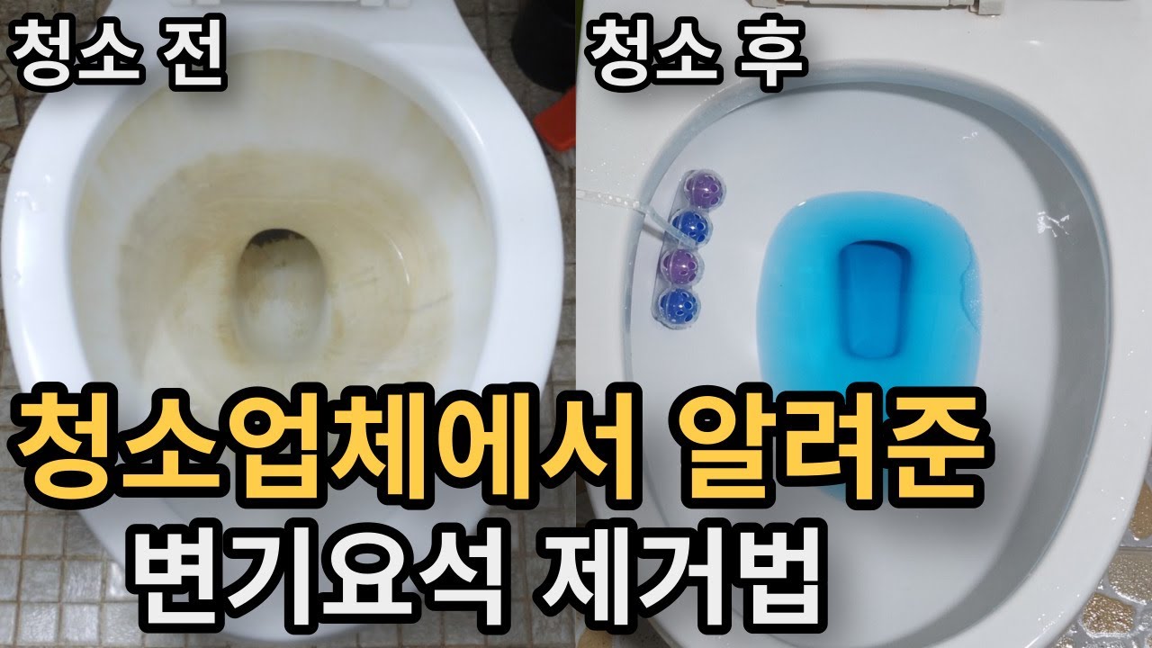변기 안 찌든때 곰팡이 정말 쉽게 없애는 방법 I 쉽게 한번에 없애는 변기속 청소 방법 I 요석제거 I 변기요석 제거 I 변기
