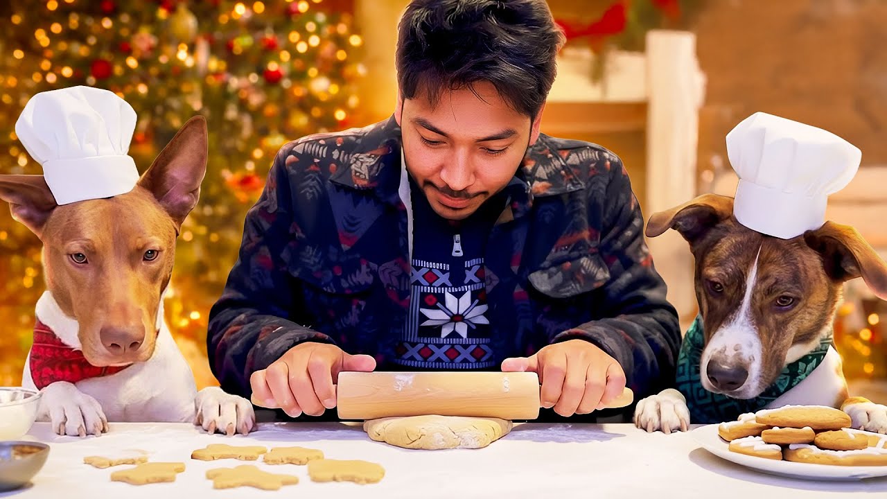 Dogs Baking Holiday Treats | Homemade Gingerbread Cookies 🐶 - YouTube