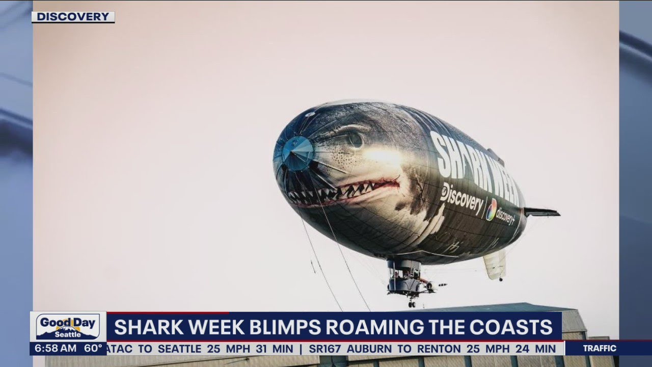 Shark Week blimps roaming the coasts | FOX 13 Seattle - YouTube