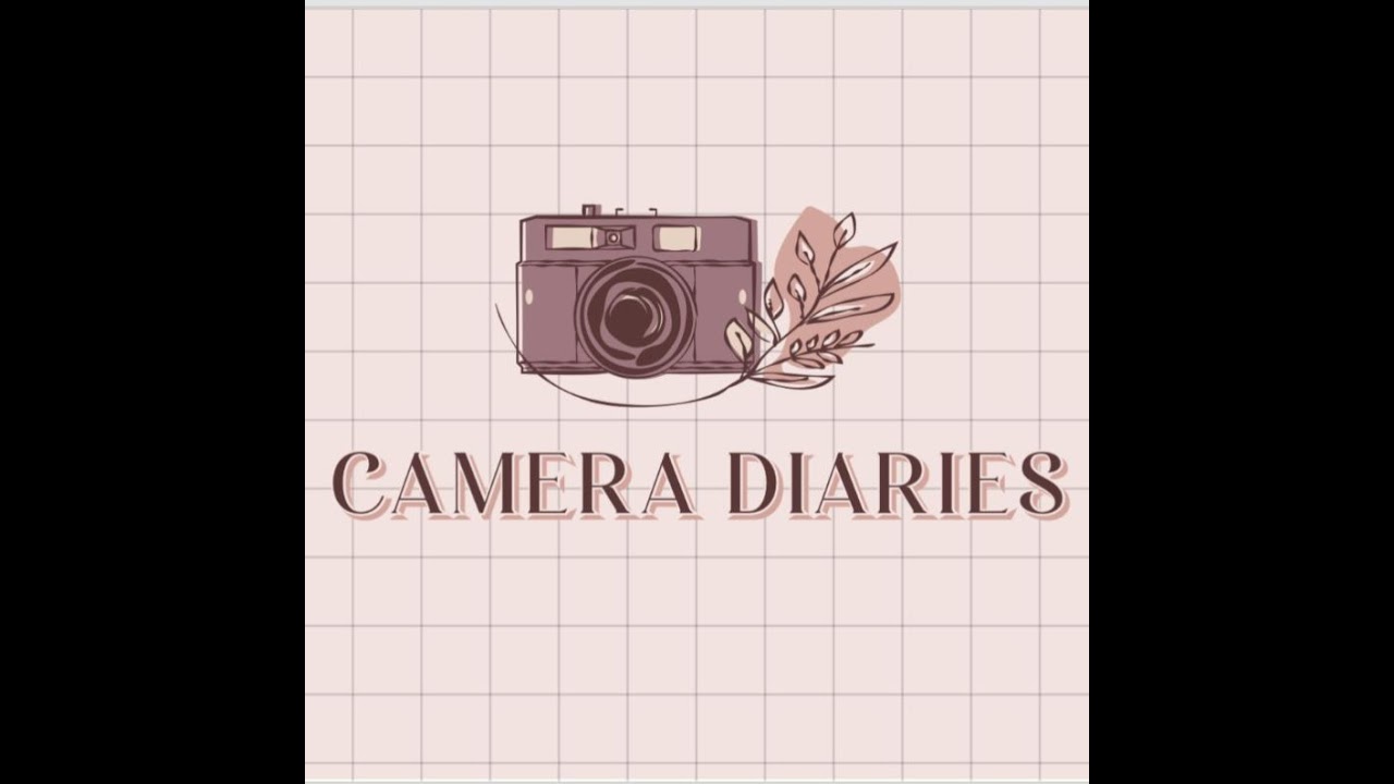 Camera Diaries Live Stream - YouTube