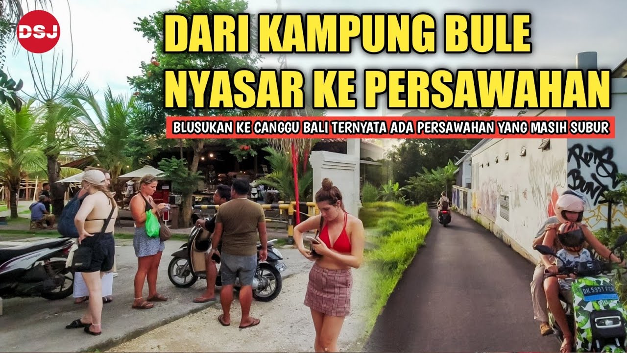 Canggu Bali! Ternyata gang sempitpun juga banyak bule di Canggu Bali ...