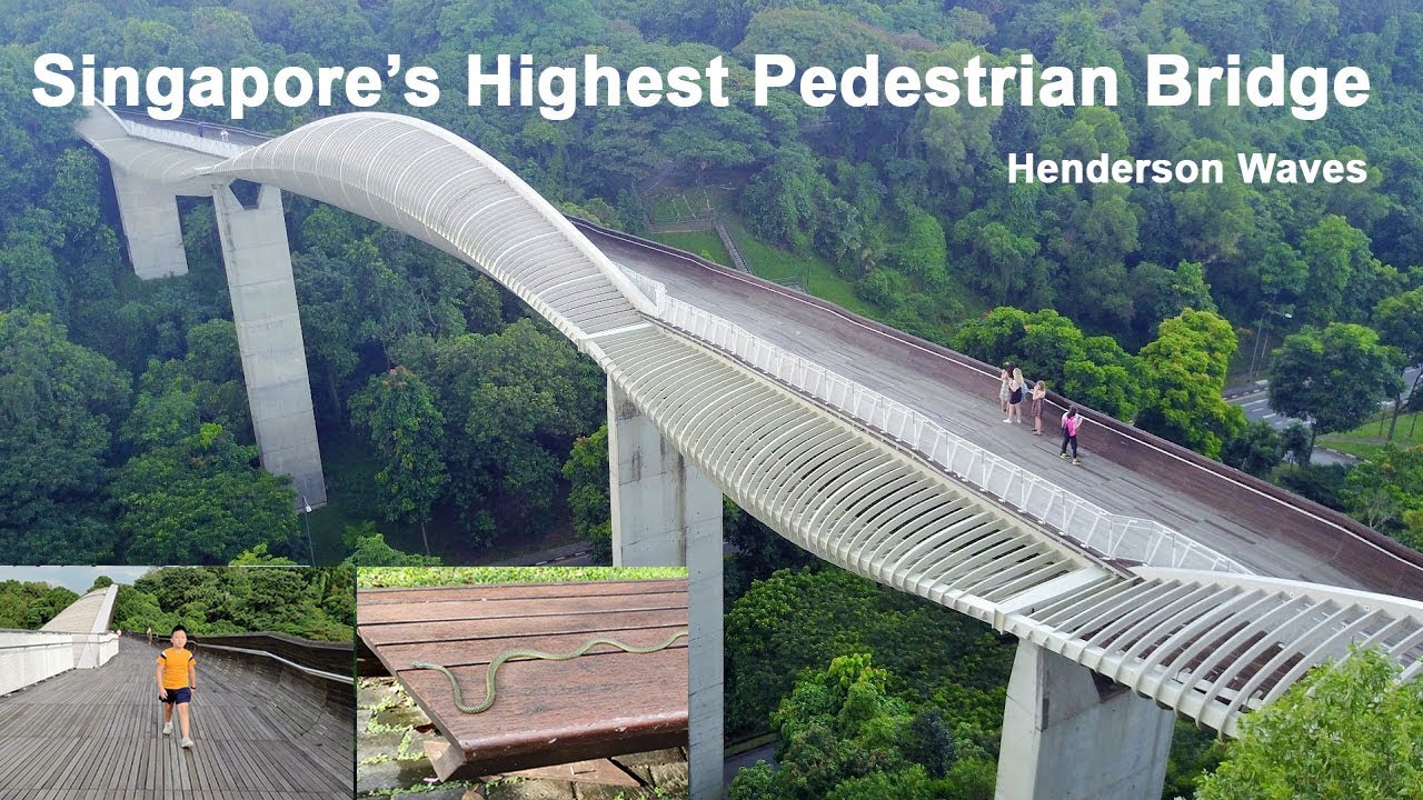 Singapore's Highest Pedestrian Bridge - Henderson Waves - YouTube