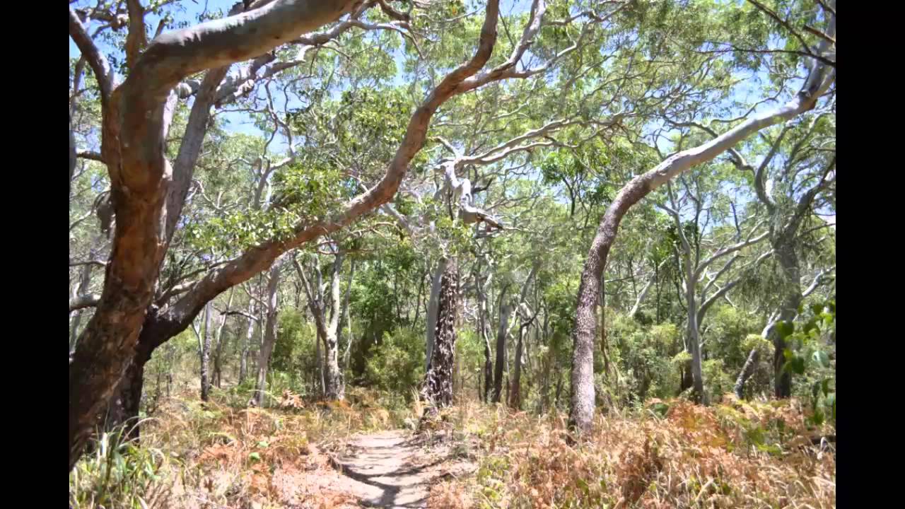 Marco in Australia - 97 - Fraser Island - Parte 2 - YouTube