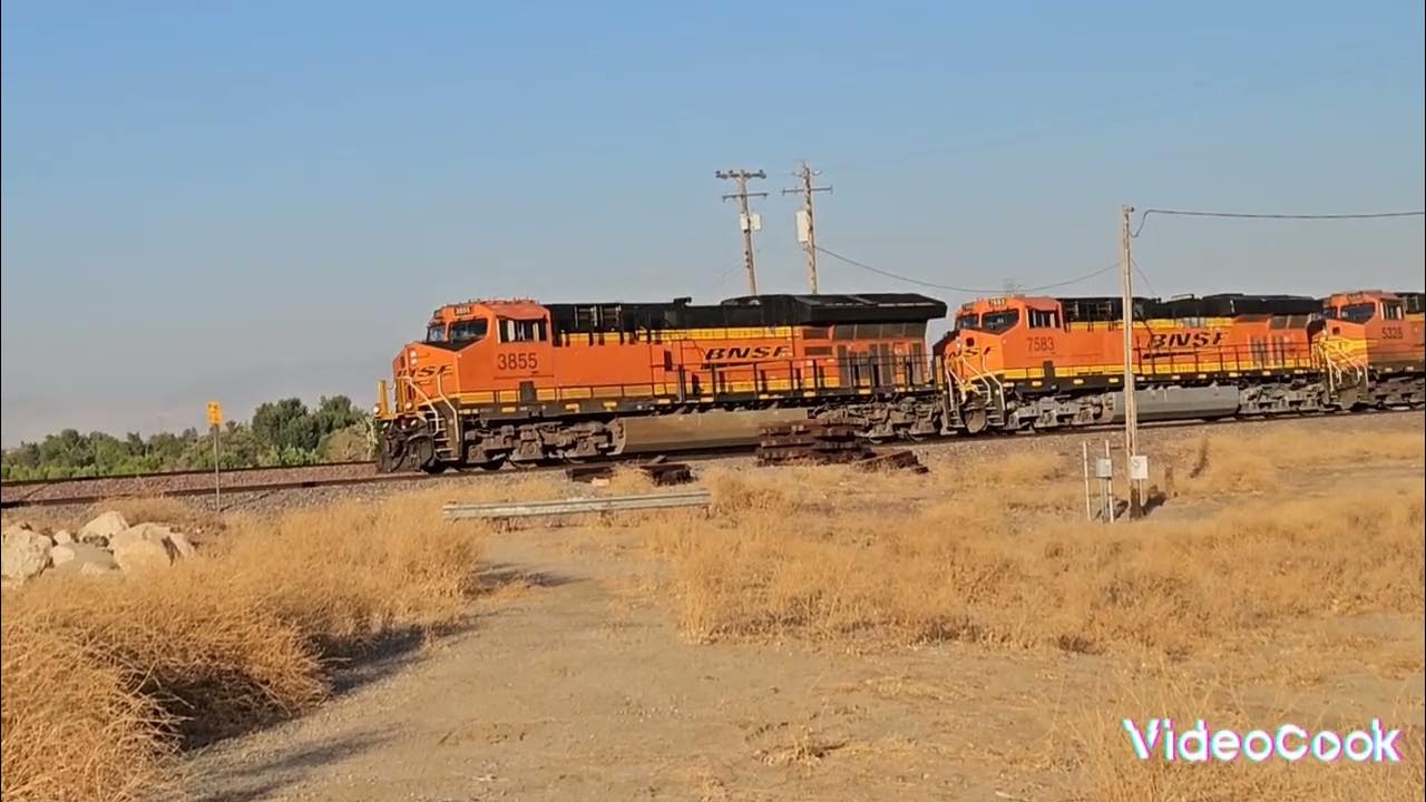 Random trains at Gomez and West Bakersfield August 2024: MRL, NS leader and MORE! - YouTube