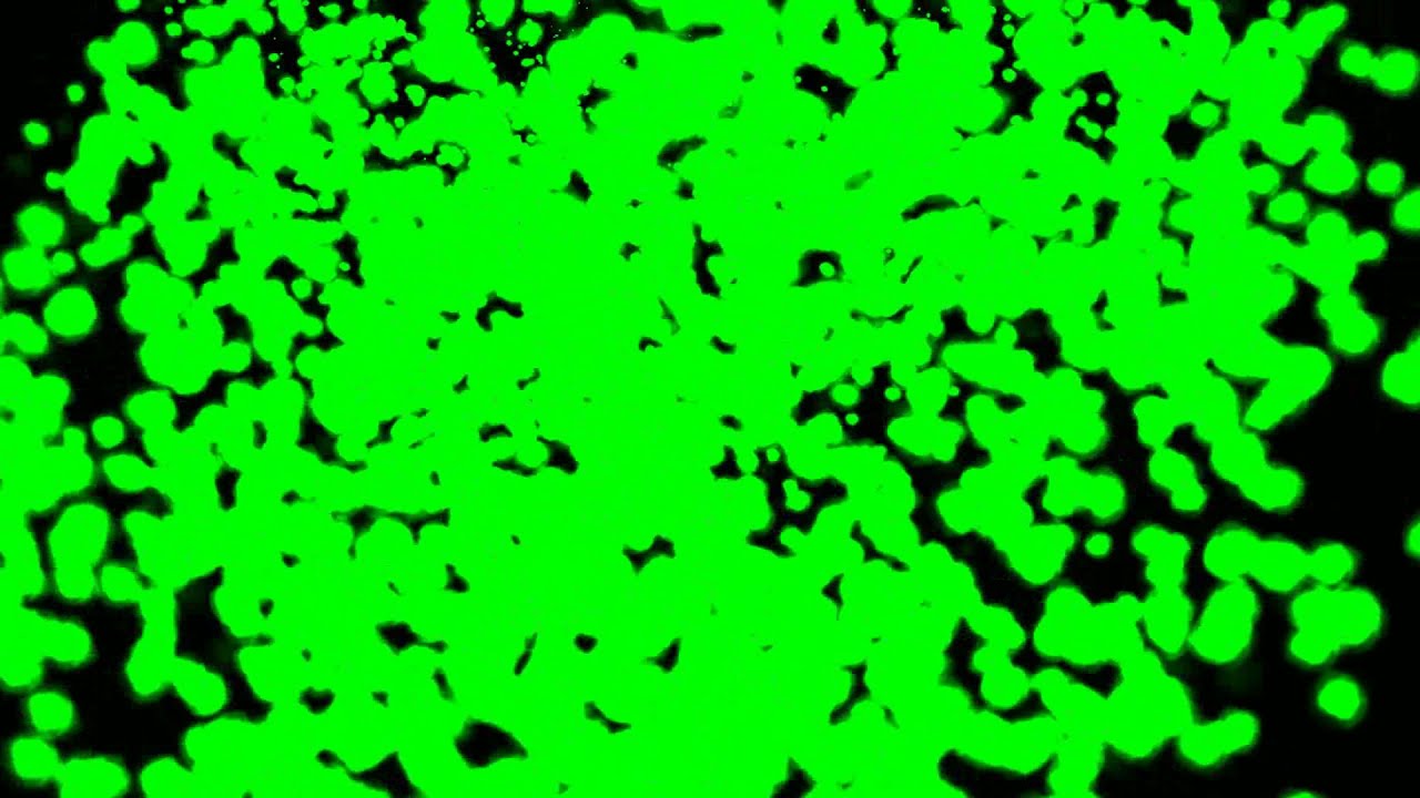 Snow Transition Effect Green Screen - YouTube