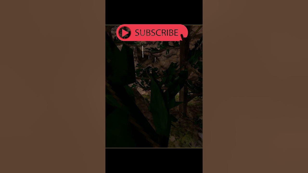 day 7 branching - YouTube