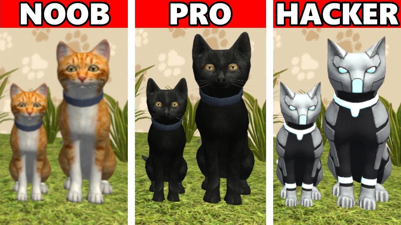 NOOB vs PRO vs HACKER - Cat Simulator - YouTube