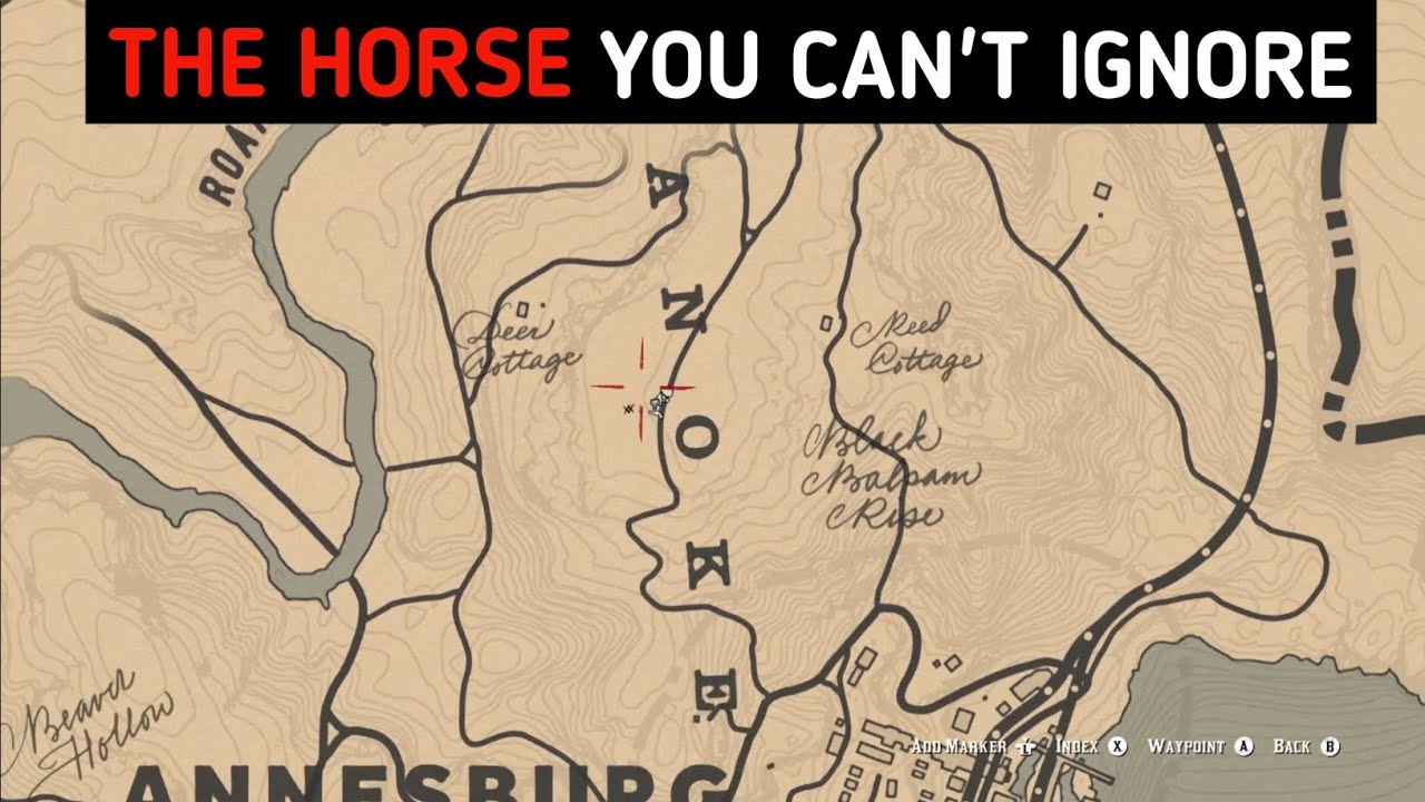 This Rare Horse Will Melt Your Heart Or It Will Make You Cry 😞 RDR2 ...