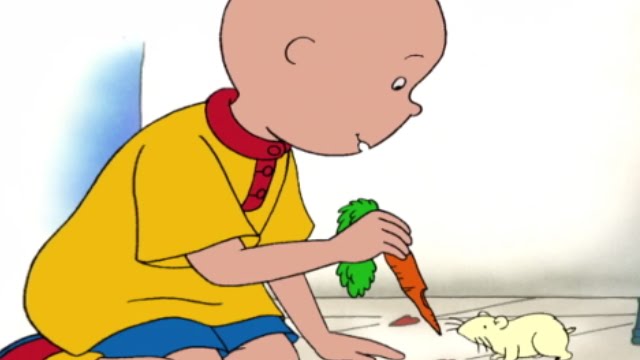 Caillou Full Episodes | Caillou's Pet ☼☼ Hour Long Compilation | Brand ...
