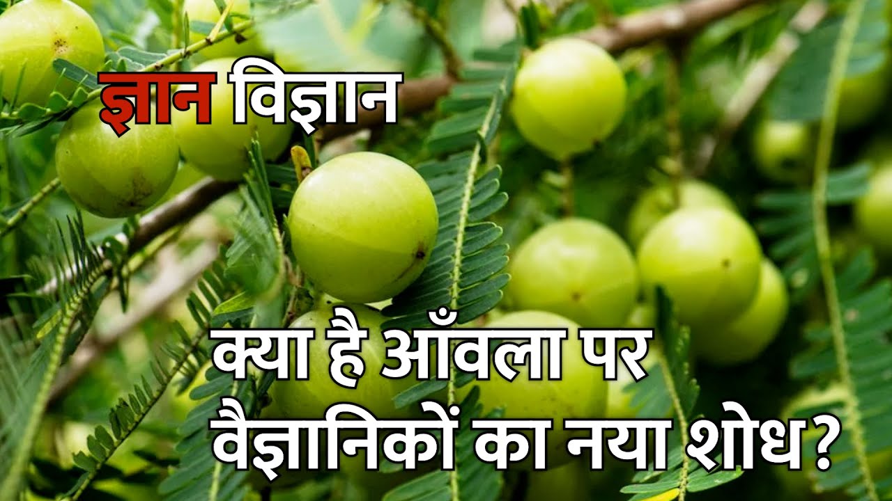 Gyan Vigyan | Science Monitor | 26September - YouTube