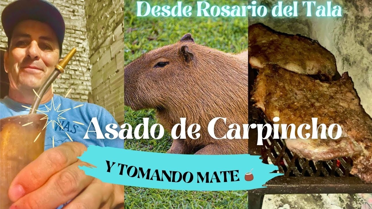 Asado de carpincho y tomando mate desde 🇦🇷🇦🇷🇦🇷 #argentina #carpincho ...