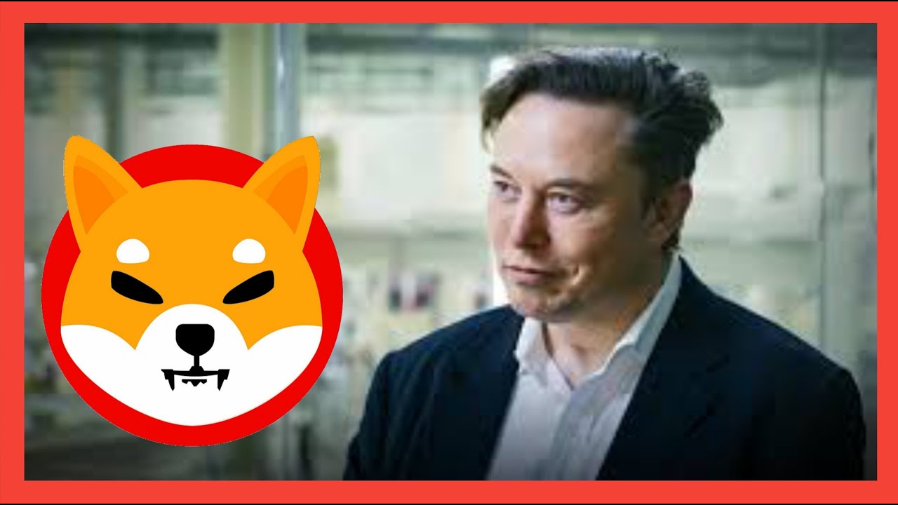 *CONFIRMED BY CEO* ONLY 6 MONTHS LEFT FOR SHIBA INU COIN TO HIT $0.20 ...