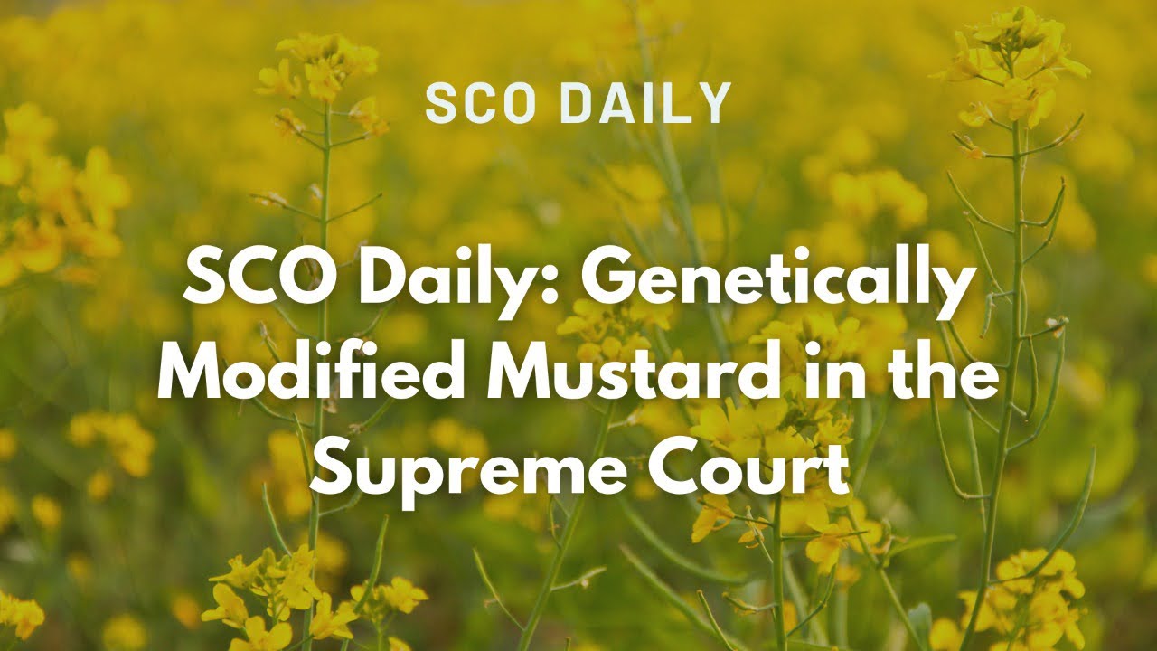 Genetically Modified Mustard in the Supreme Court - YouTube