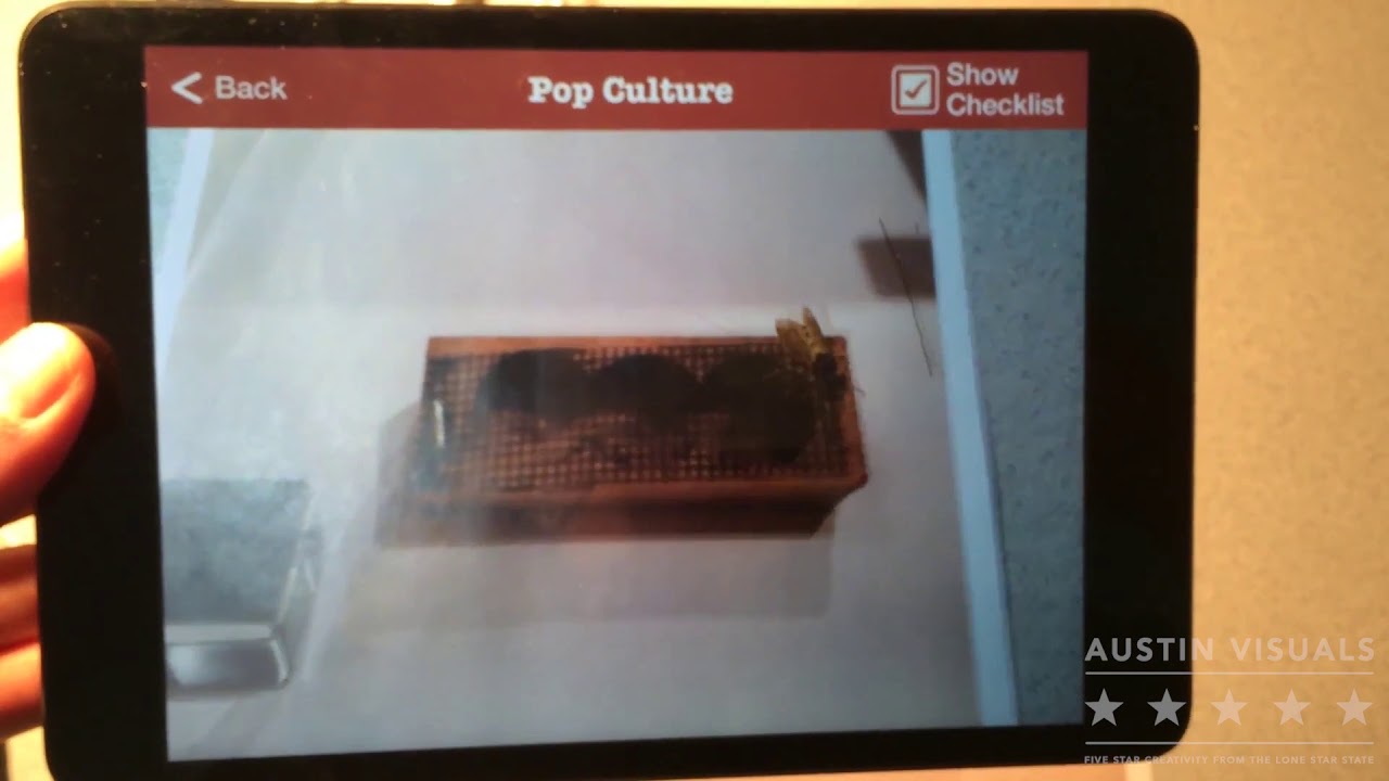 Bee Animation | Austin Visuals 3D Animation Studio - YouTube