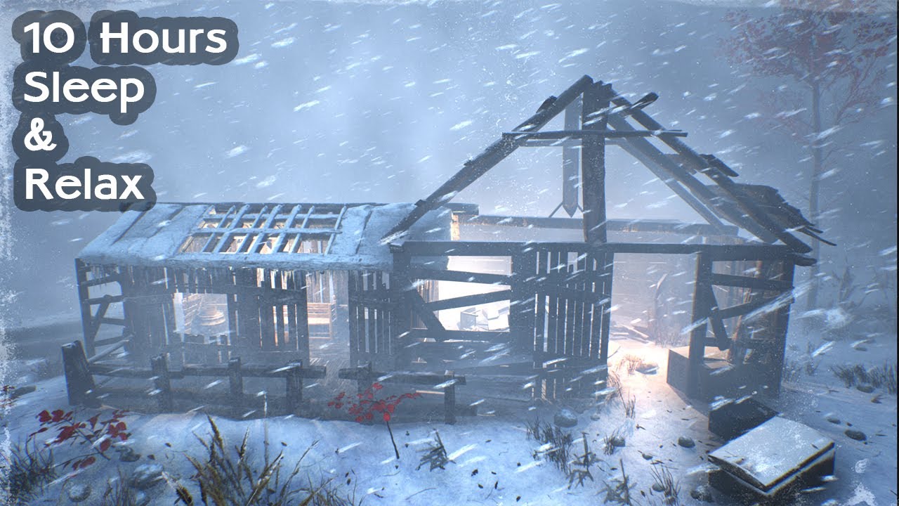 SCORCHING COLD during a blizzard with the sounds of howling wind for ...