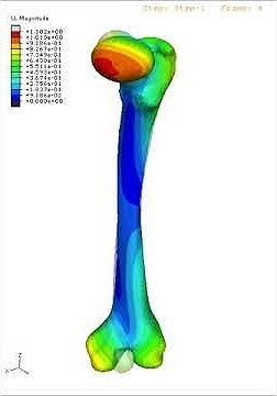 Modal Analysis of Femur by Finite Element Method - YouTube