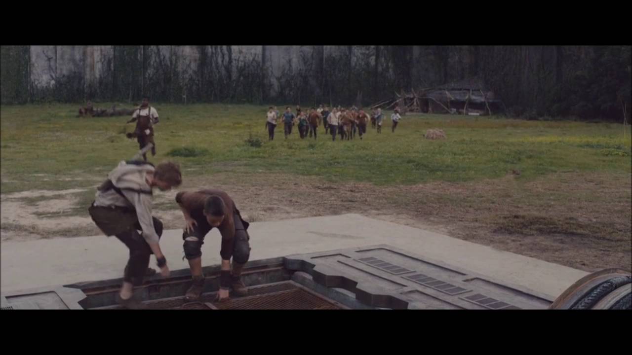 Newt the maze runner - YouTube
