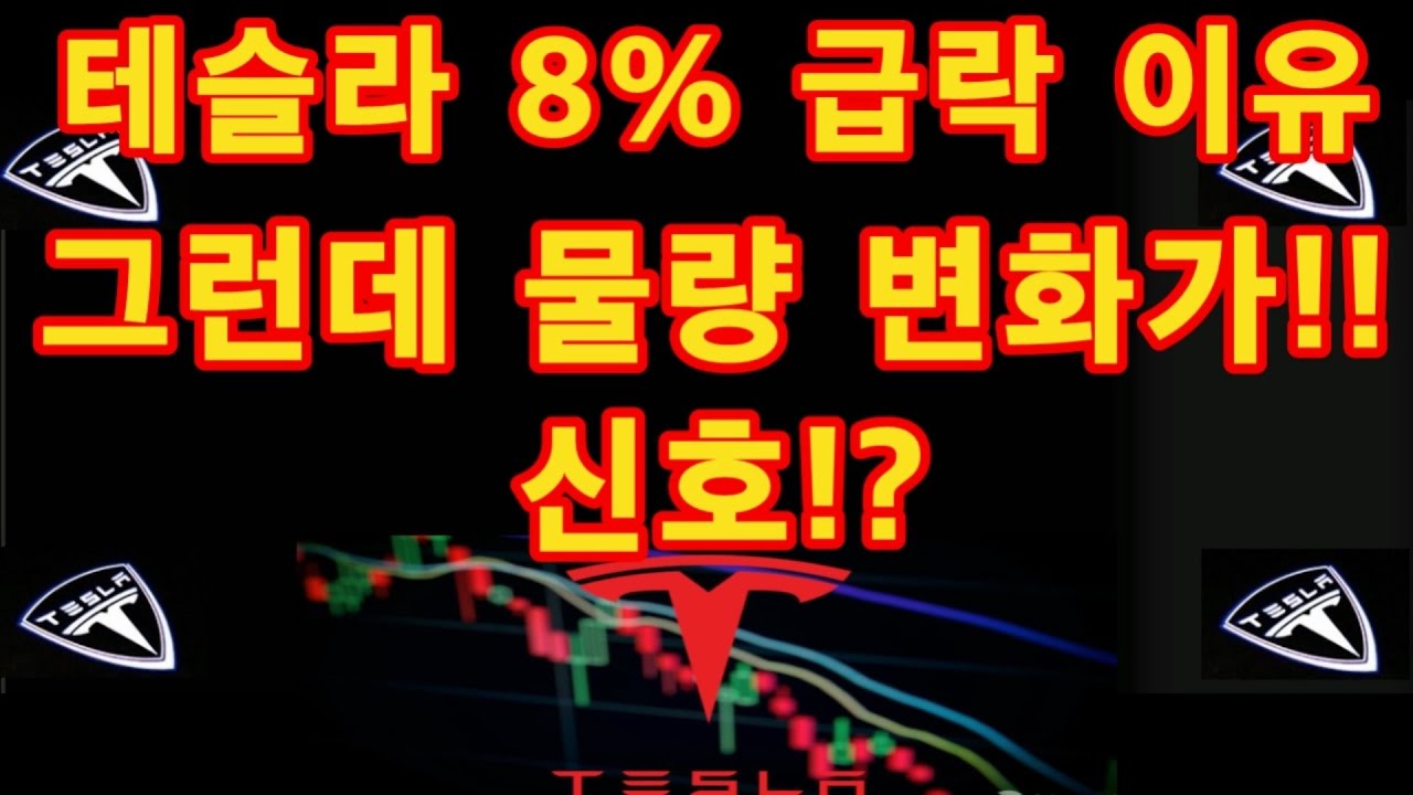 테슬라주가 8급락 이유 그런데 물량의 변화가신호 테슬라 투자 Tesla 주가 일론 머스크 Youtube