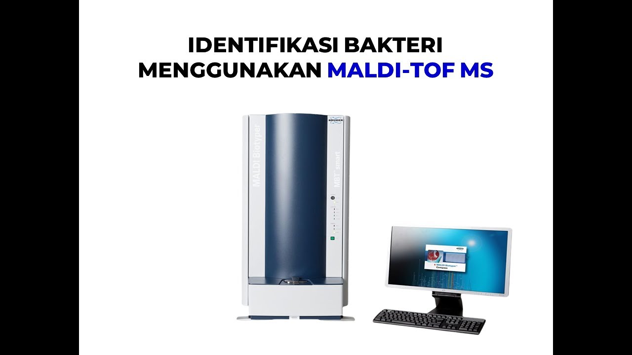 Identifikasi Bakteri Menggunakan MALDITOF-MS - YouTube