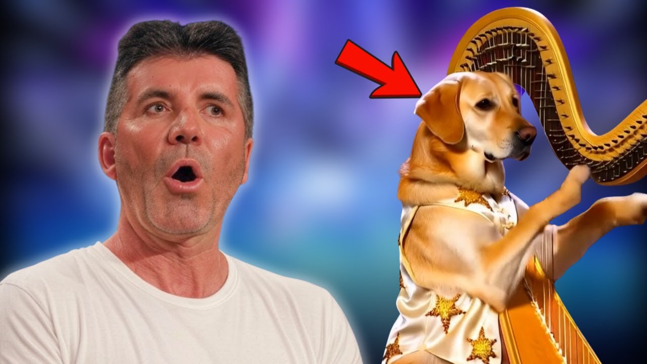 Golden Retriever Stuns AGT Judges with a Harp Performance! - YouTube