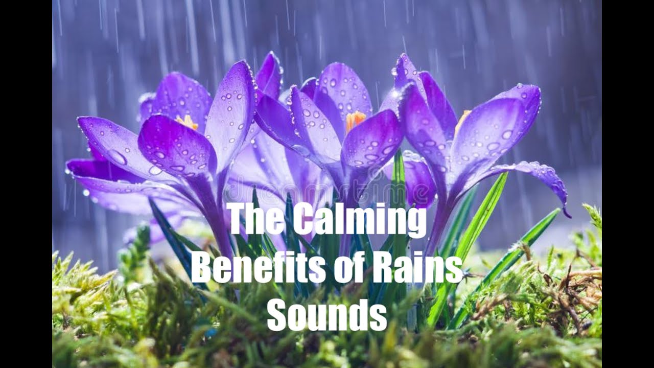 Discover the Calming Benefits of Rainfall - Better Sleep Now! - YouTube
