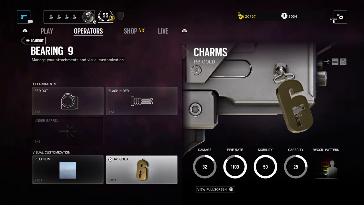 Tom Clancy's Rainbow Six Siege Echo Loadout an Bio - YouTube