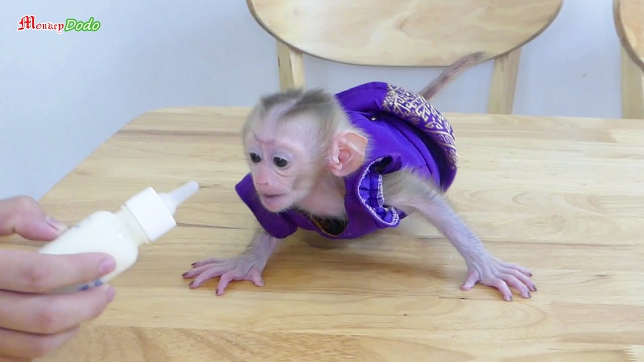 Milk Time Queen Jenna So Fast Catching Battle Milk - YouTube