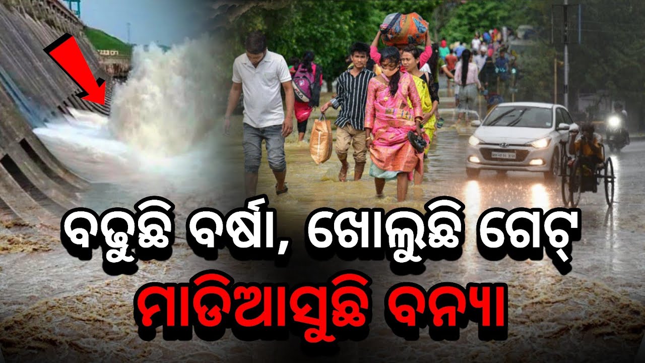 Odia khabar/ Odia viral/ Odia viral video/ Odia Samachar/ B News Odisha ...