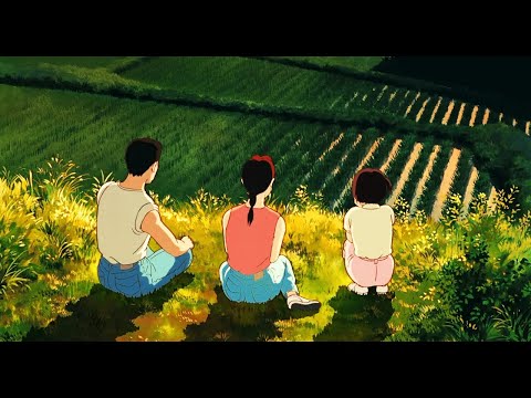 Warm summer afternoons lofi beats