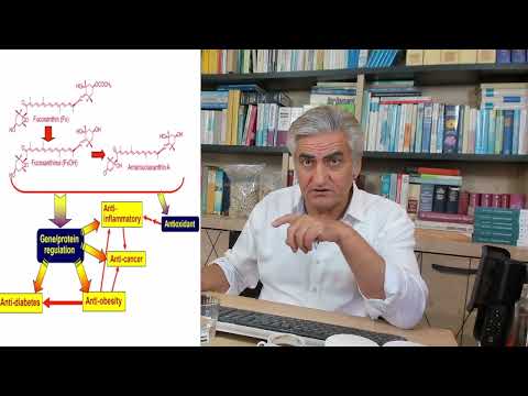 FUCUS (ESMER YOSUN) ile Hipotiroid, MAYTAKE (DANS MANTARI) ile Nodül, Guatr ve Hipertiroid Tedavisi