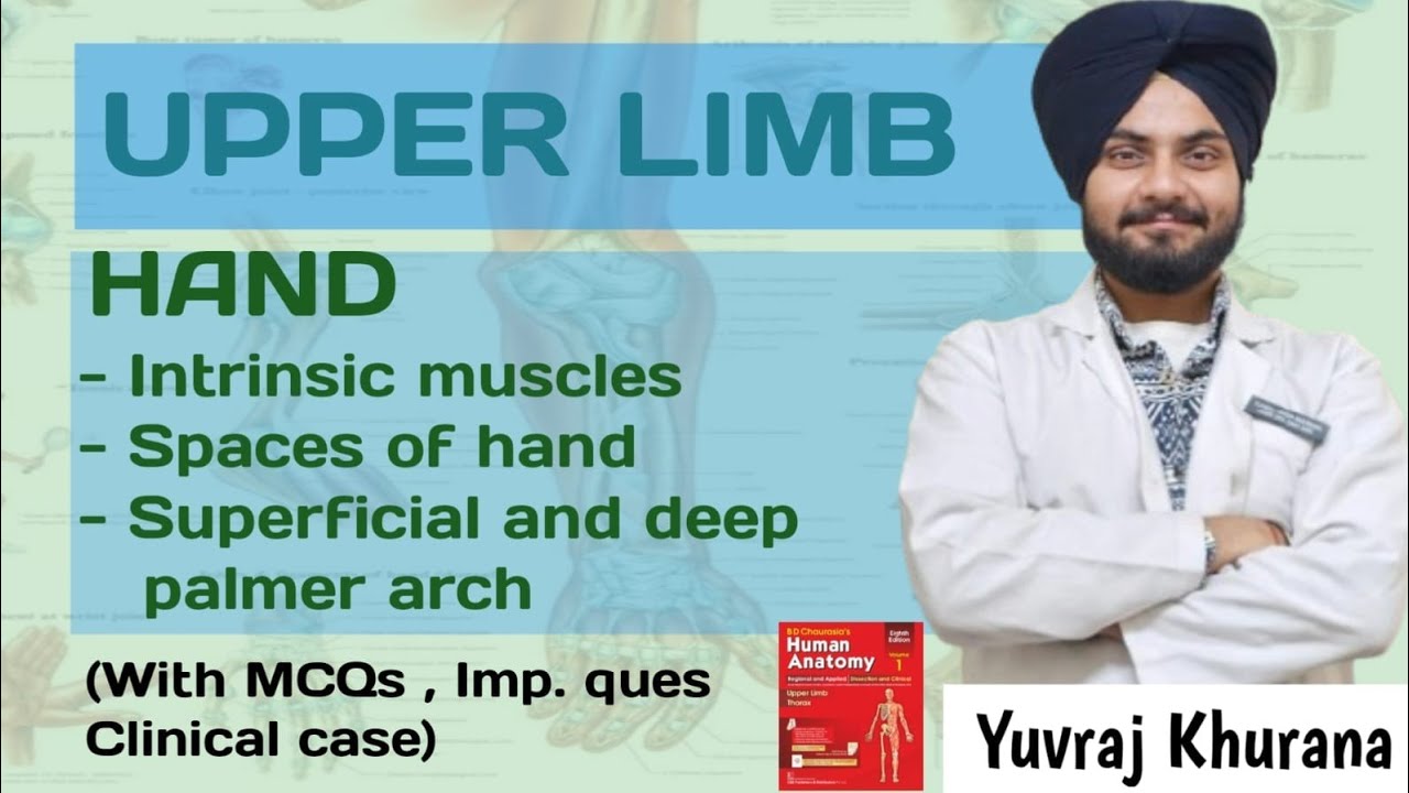 Hand anatomy| Intrinsic muscles| Spaces of hand | palmer arches| Easy ...