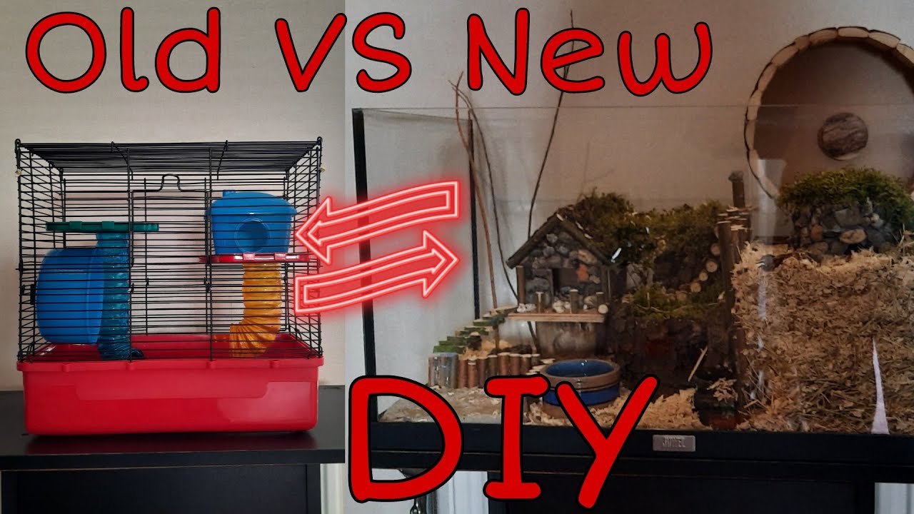 DIY hamsterscaping. Hoe maak je zelf een hamster woning? - YouTube