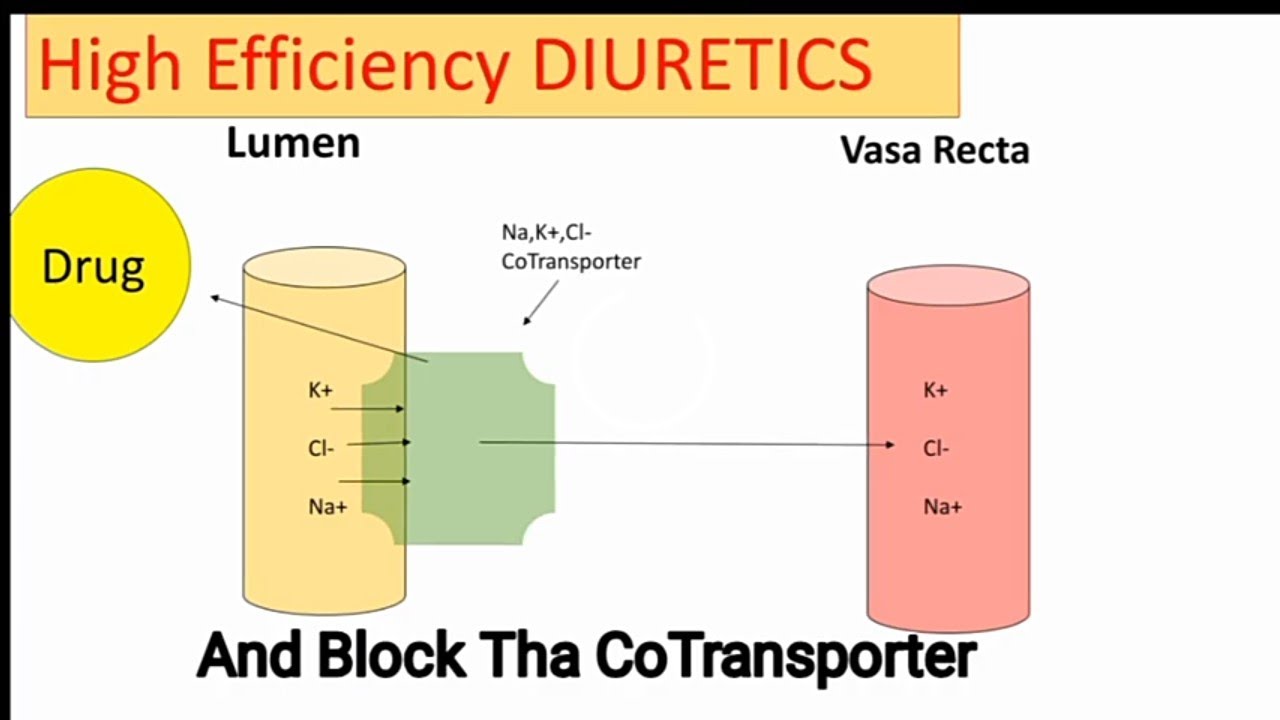 High Efficiency Diuretics Animation - YouTube