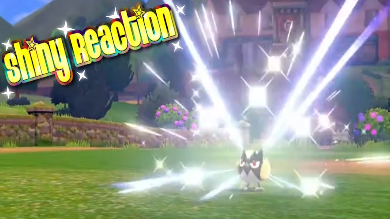Shiny Rookidee Pokemon Sword Shield - YouTube