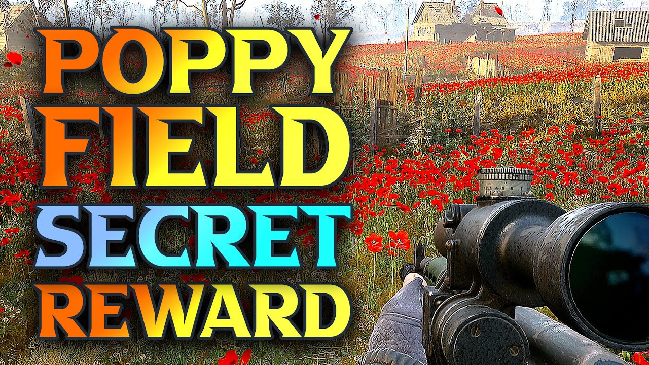 Stalker 2 Poppy Field Cellar Walkthrough - YouTube