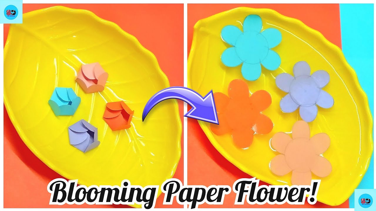 Flowers on Water 😲 || Magical Paper Flower Blooming in Water #shorts # ...