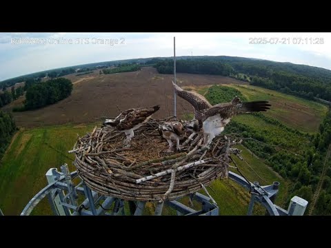 Rościce BTS Orange 21 07 2025 2 ~ Maszt, potem PLN, potem Rosa z ...