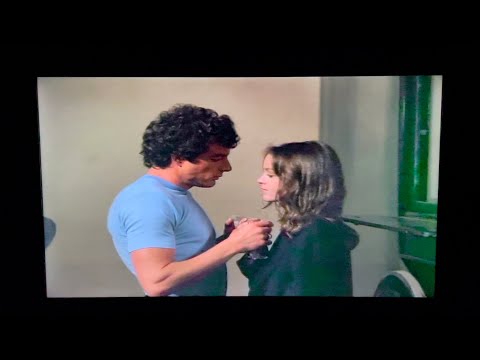 Dynasty: Fallon & Michael’s fling