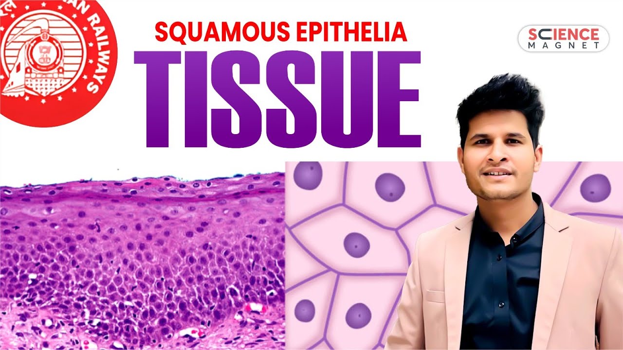 Squamous Epithelial tissue #sciencebyneerajjangid - YouTube