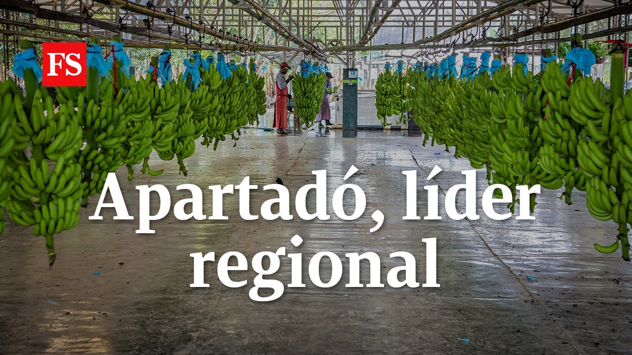 Apartadó, el municipio que está brillando en Antioquia - YouTube