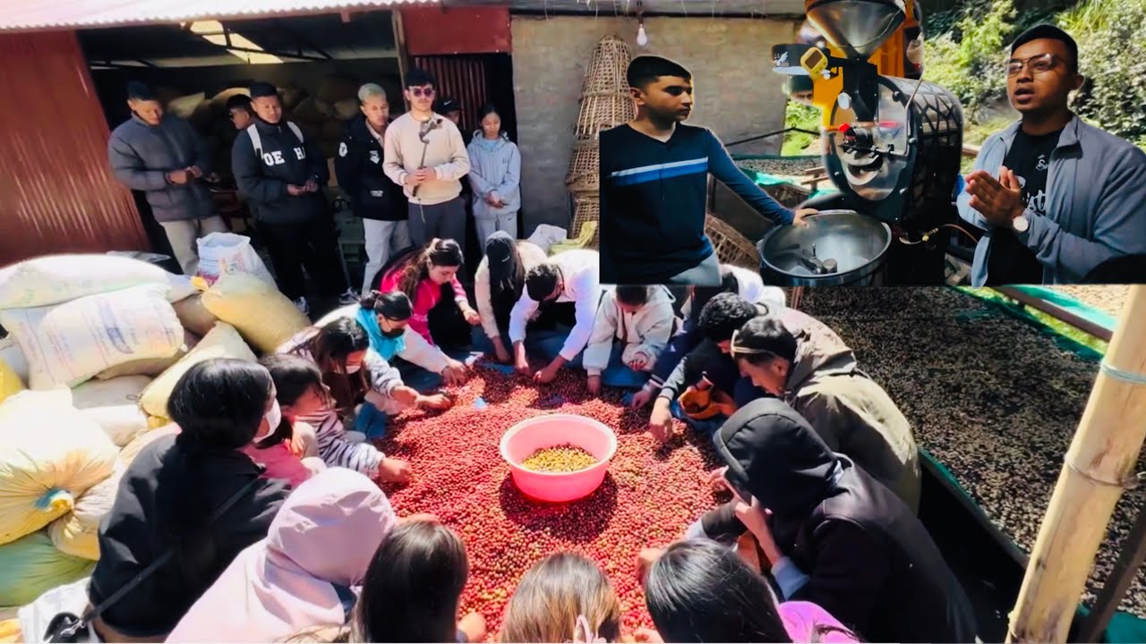 Syangja/ Coffee Farm & Roasting / Learn & Fun Together - YouTube