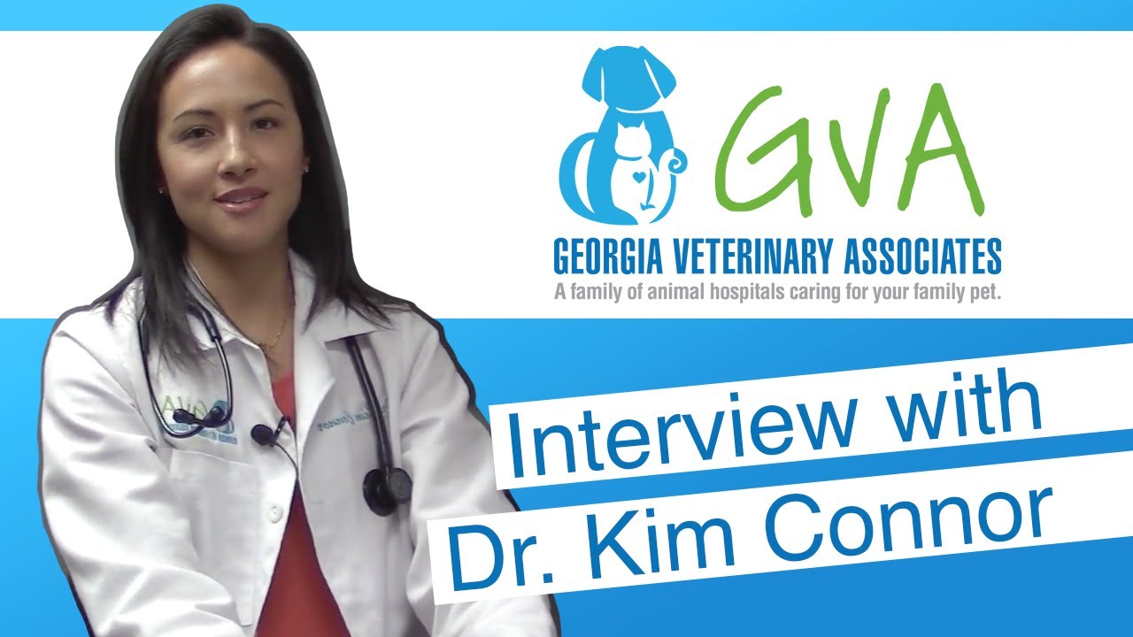 Get to Know: Dr. Kim Connor - YouTube