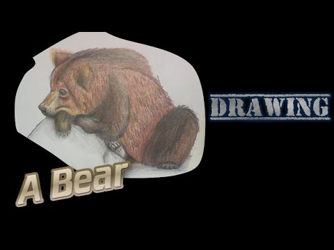 Bear speed draw - YouTube