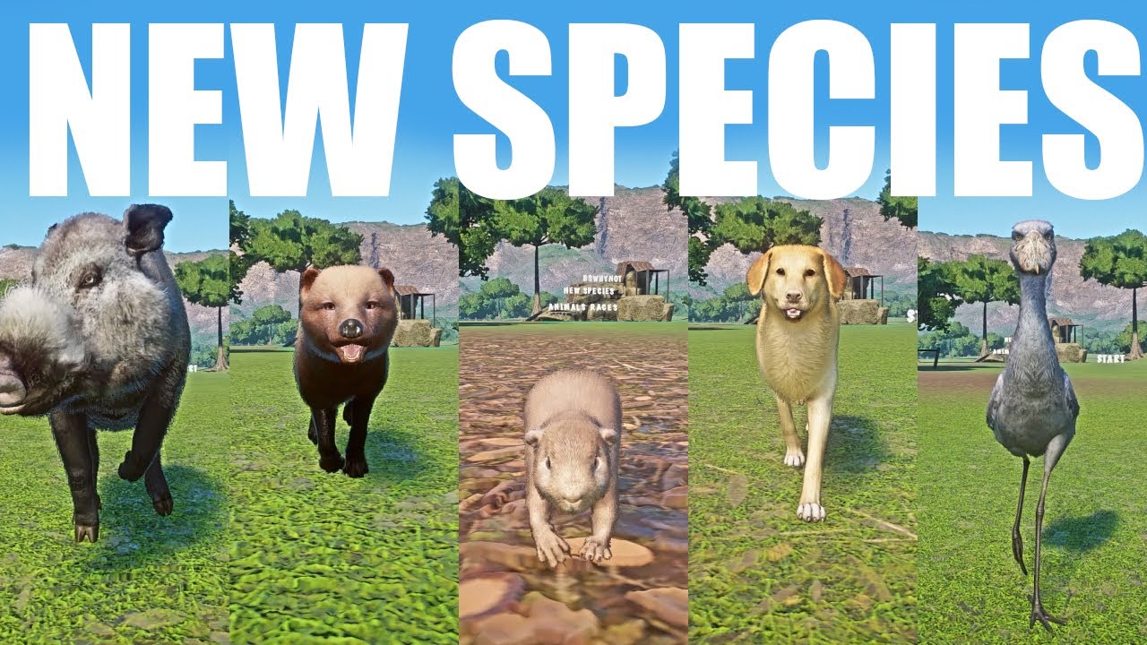 New Species Animals Speed Races in Planet Zoo included Golden Retriever ...